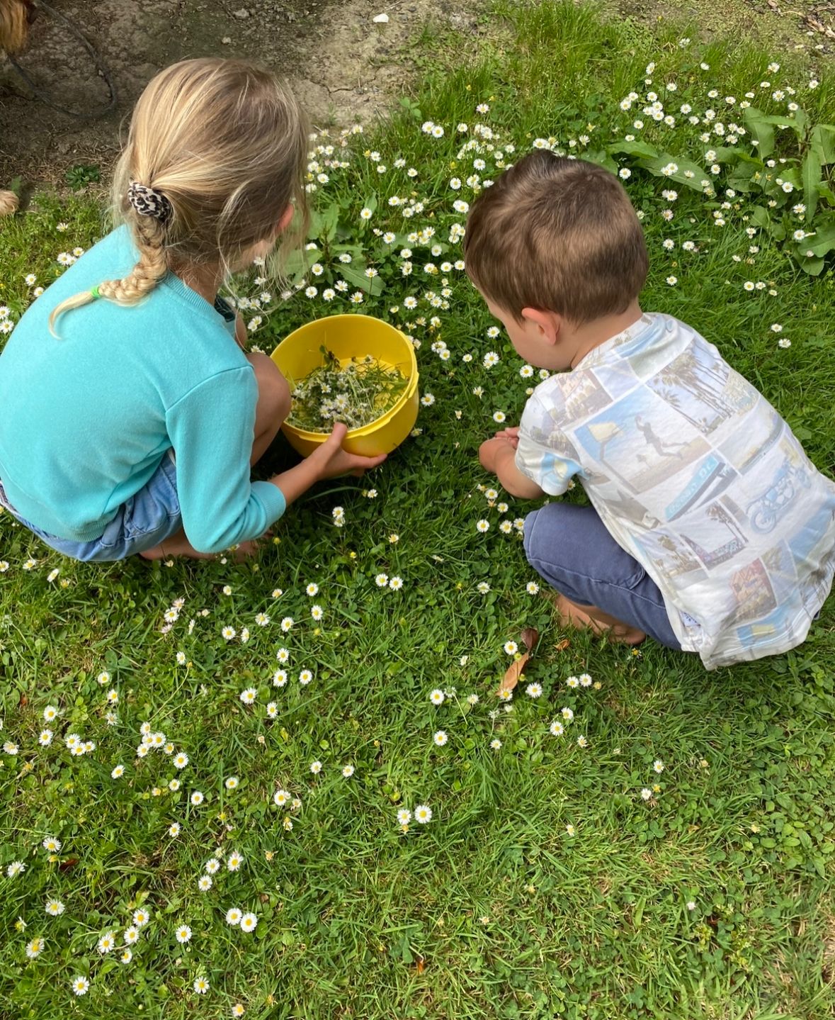 Home-based activities - Kia Ora Kids at Home Childcare